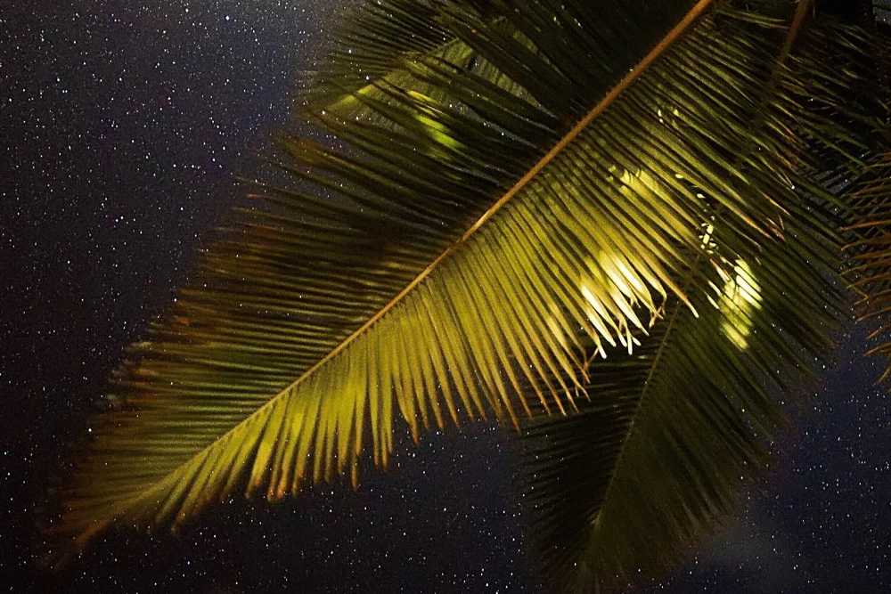 General 2 — Jo Birch