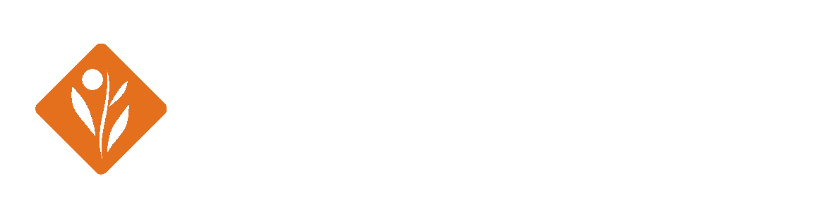 Instituut Lieve Mestdagh