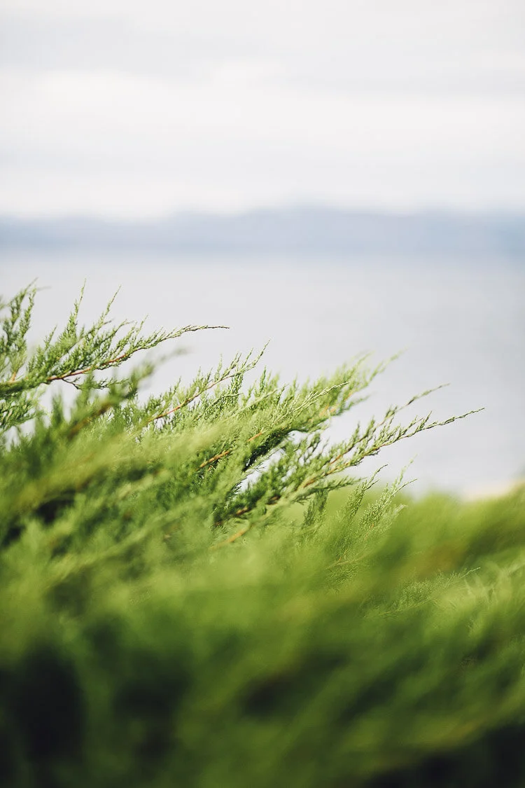 Country Collection | Framed Fine Art Photography— Caitlin & Cole Creative