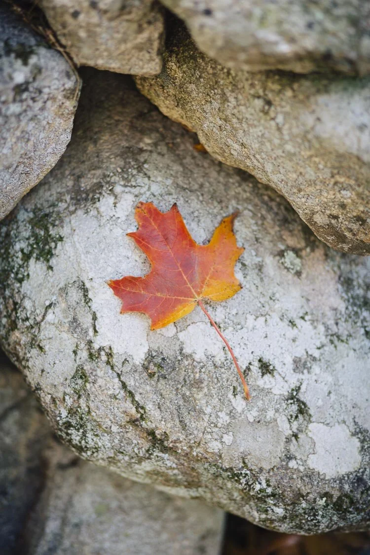 Country Collection | Framed Fine Art Photography— Caitlin & Cole Creative