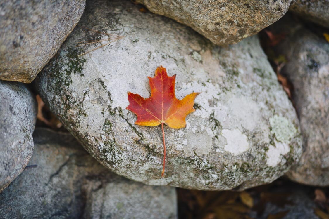 Country Collection | Framed Fine Art Photography— Caitlin & Cole Creative