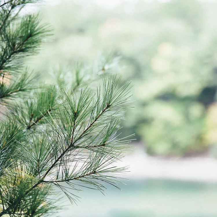 Country Collection | Framed Fine Art Photography— Caitlin & Cole Creative