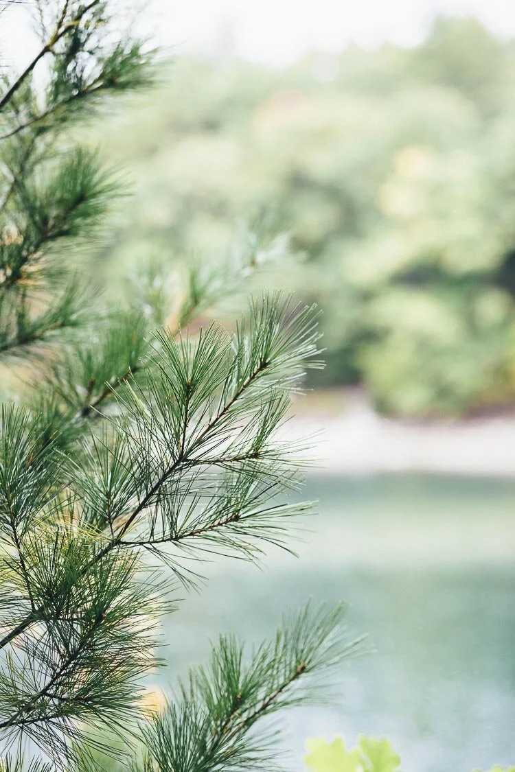Country Collection | Framed Fine Art Photography— Caitlin & Cole Creative