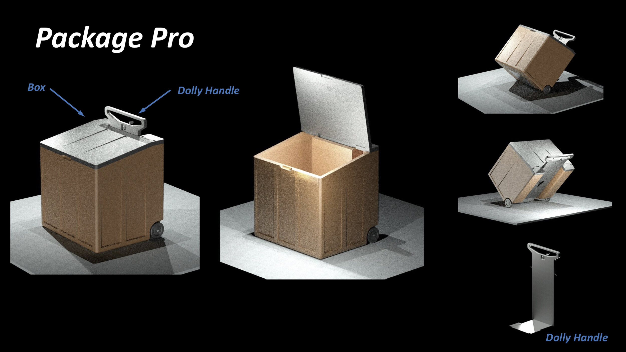 EXECUTIVE SUMMARY — PACKAGE PRO