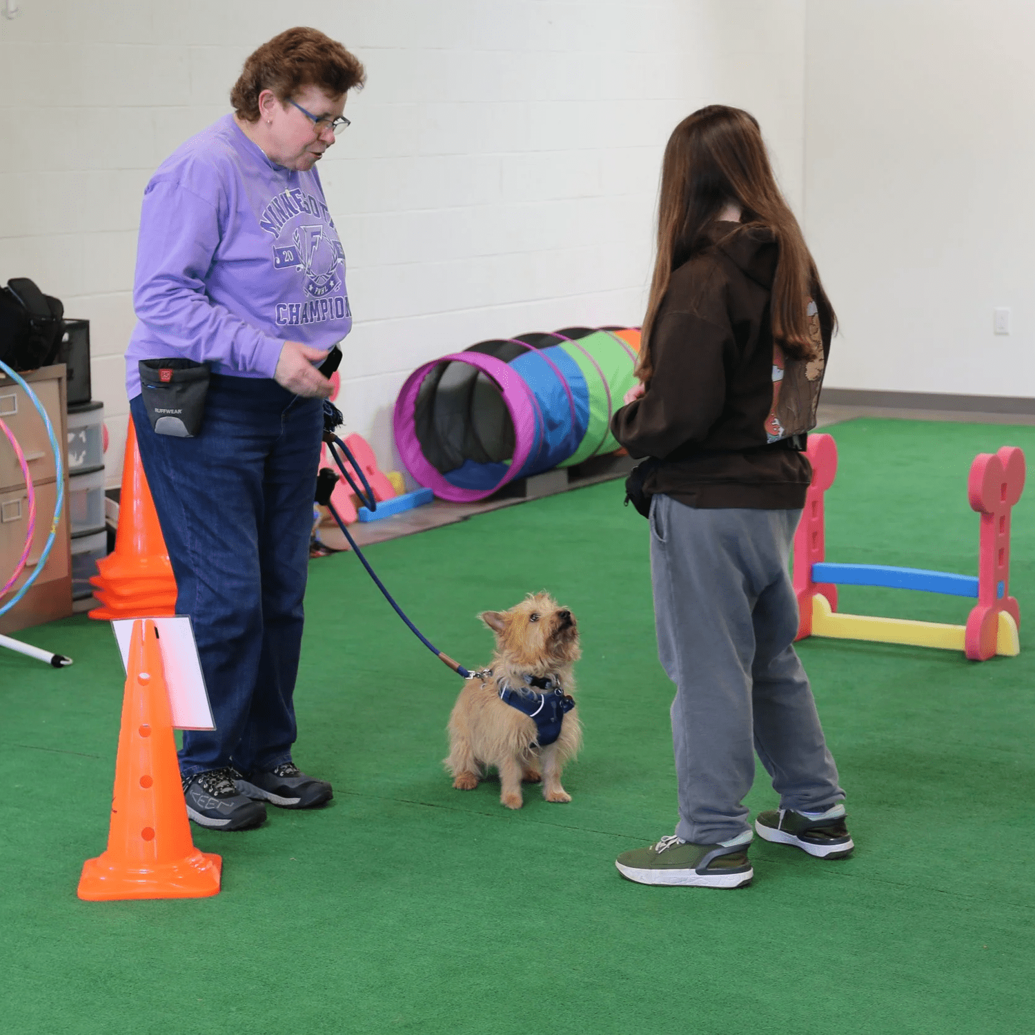 Canine Good Citizen Training — Canine Inspired Change