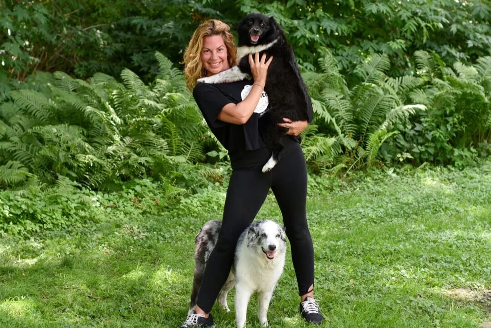 Meet the Canine Inspired Change Team | Leaders in Therapy Dog Training ...