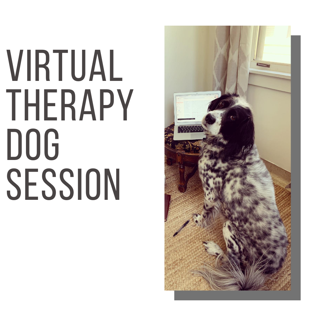 Virtual Therapy Dog Sessions — Canine Inspired Change