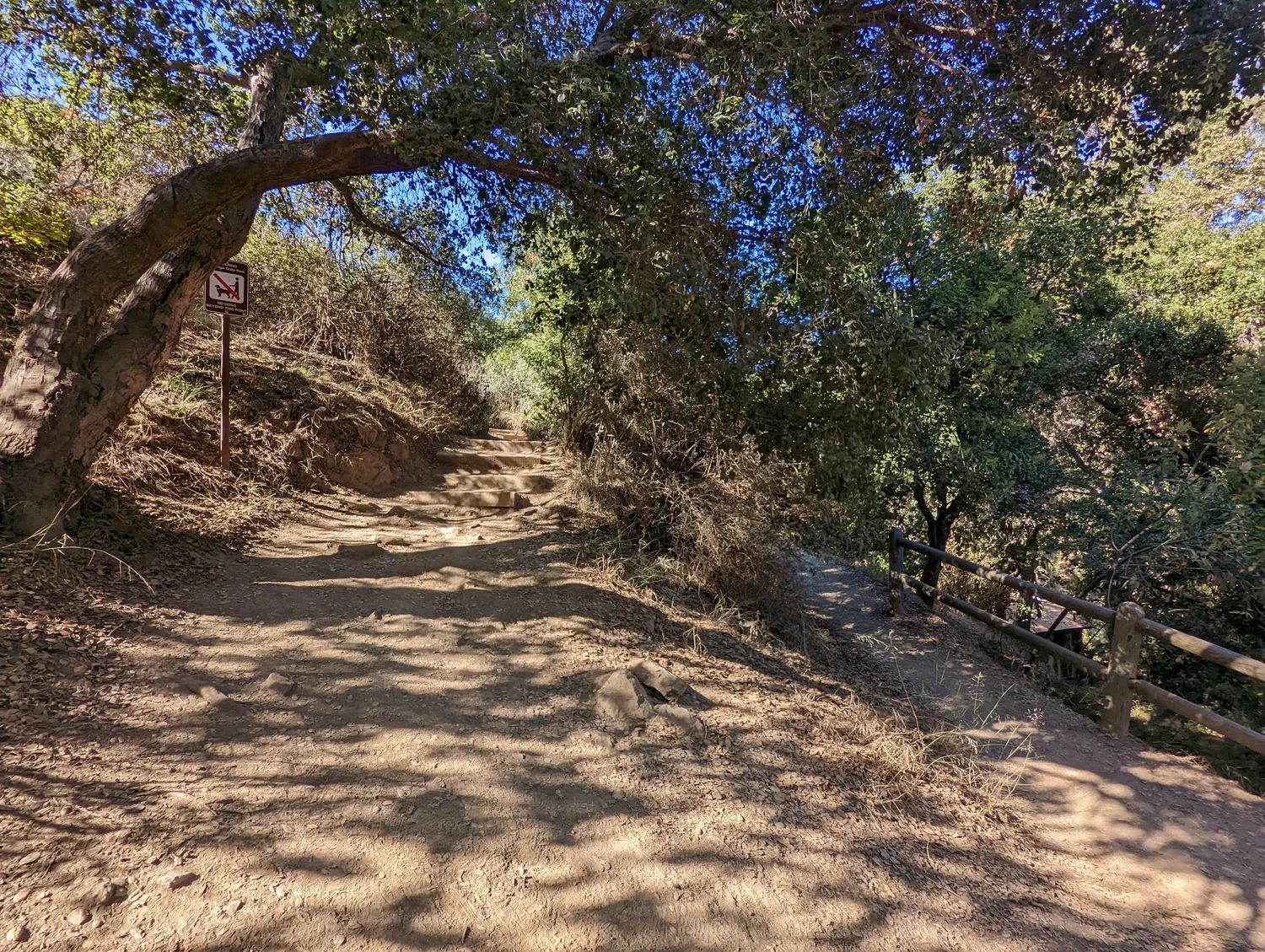 Favorite Local Hike: Temescal Canyon Trail, a Quick Guide — Brassy