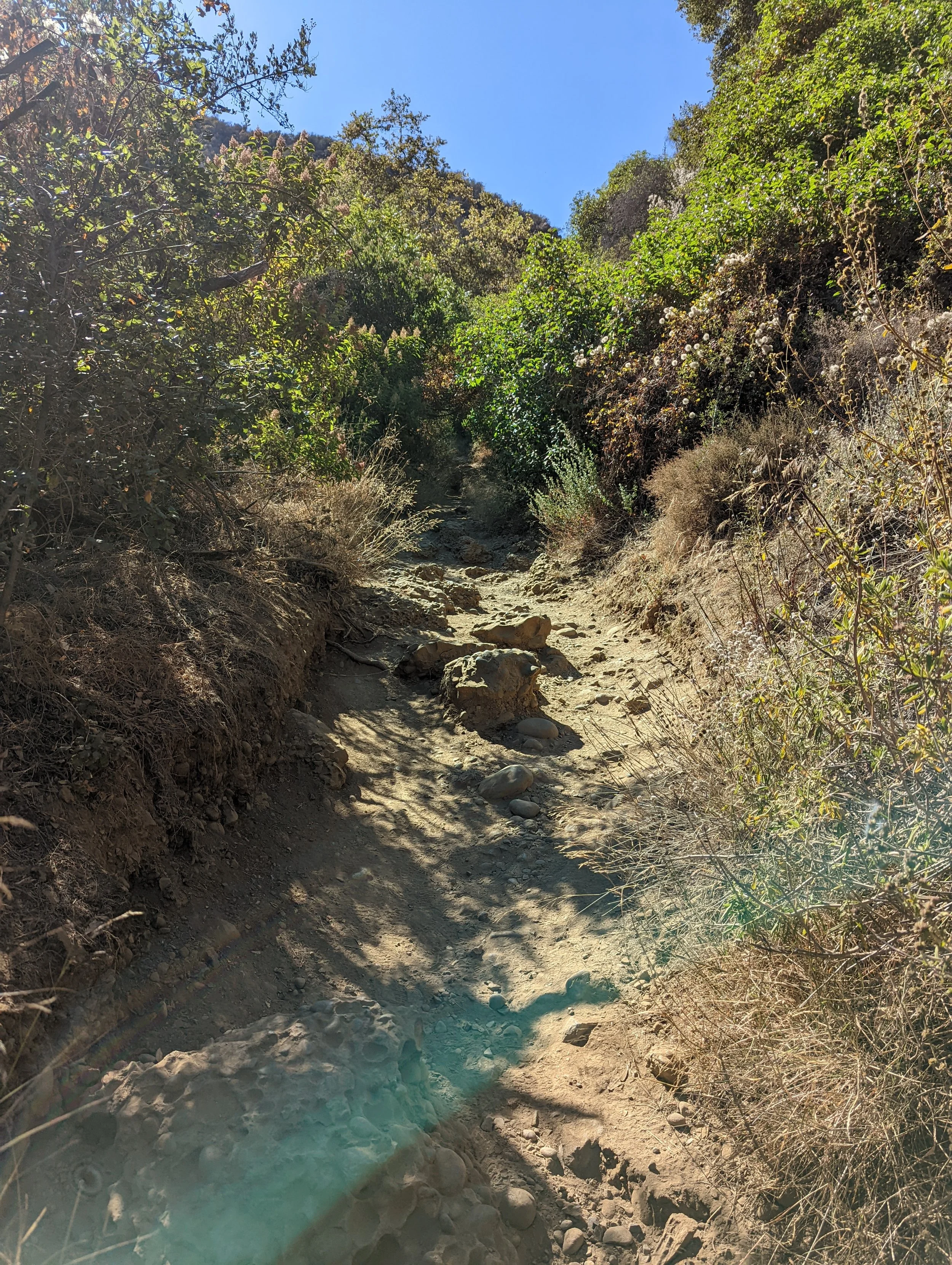 Favorite Local Hike: Temescal Canyon Trail, a Quick Guide — Brassy
