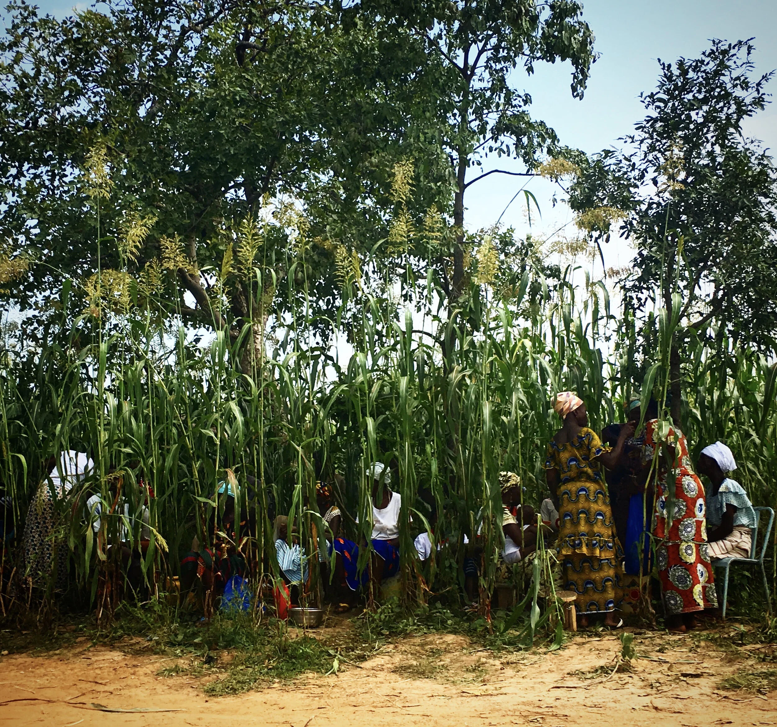 General 5 — Dagara Legacy