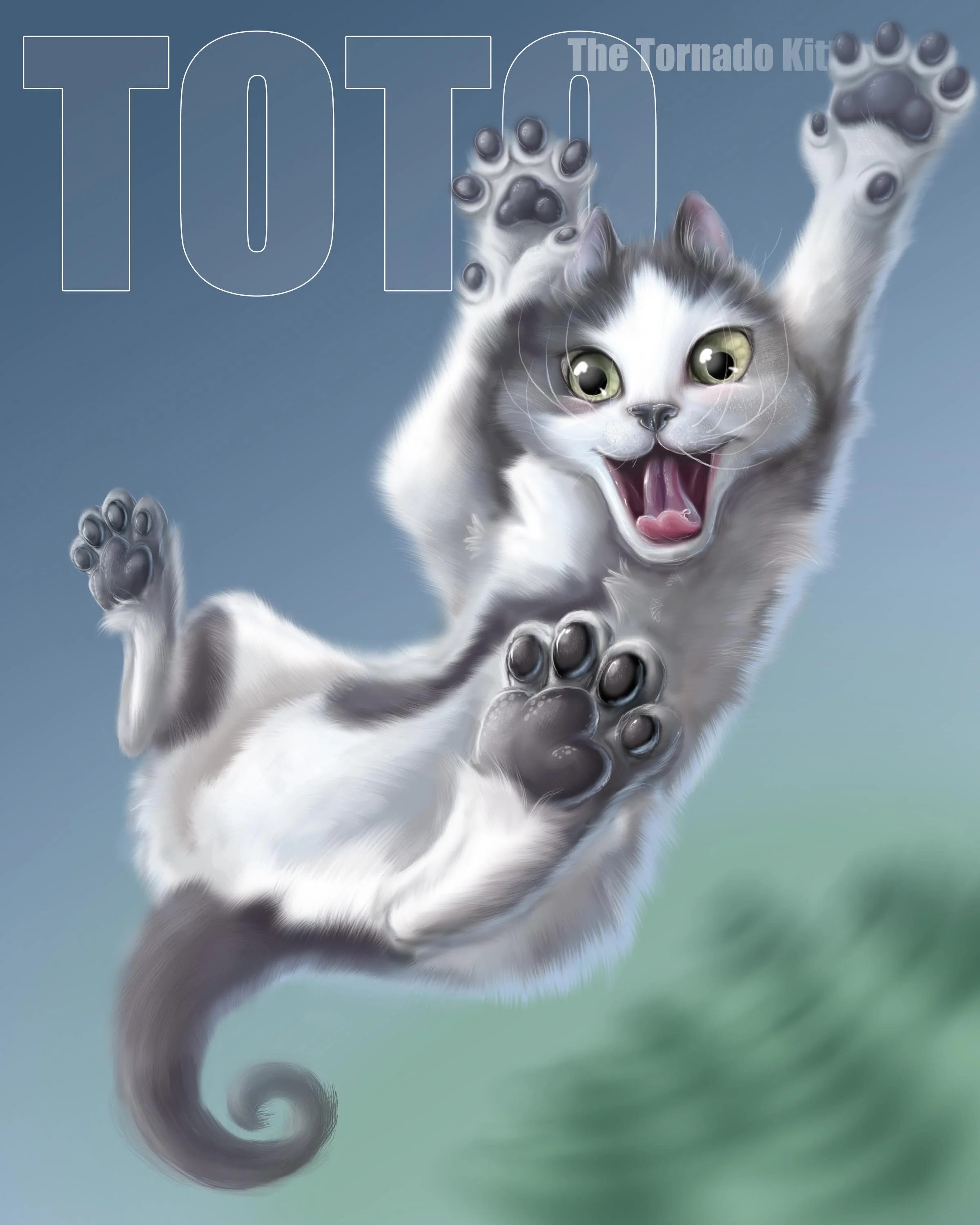 Toto the Tornado Kitten