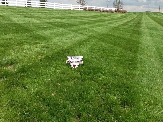 Landscape | Commercial Landscape Management in Grand Rapids — Vigh ...