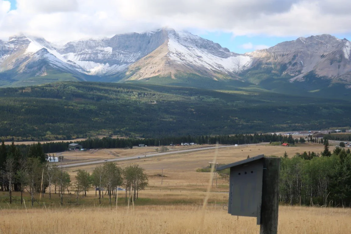 Trail Rejuvenation in Crowsnest Pass — Mountain Bluebird Trails ...