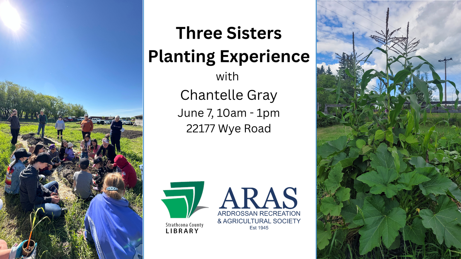 ARAS Events — Ardrossan Recreation & Agricultural Society