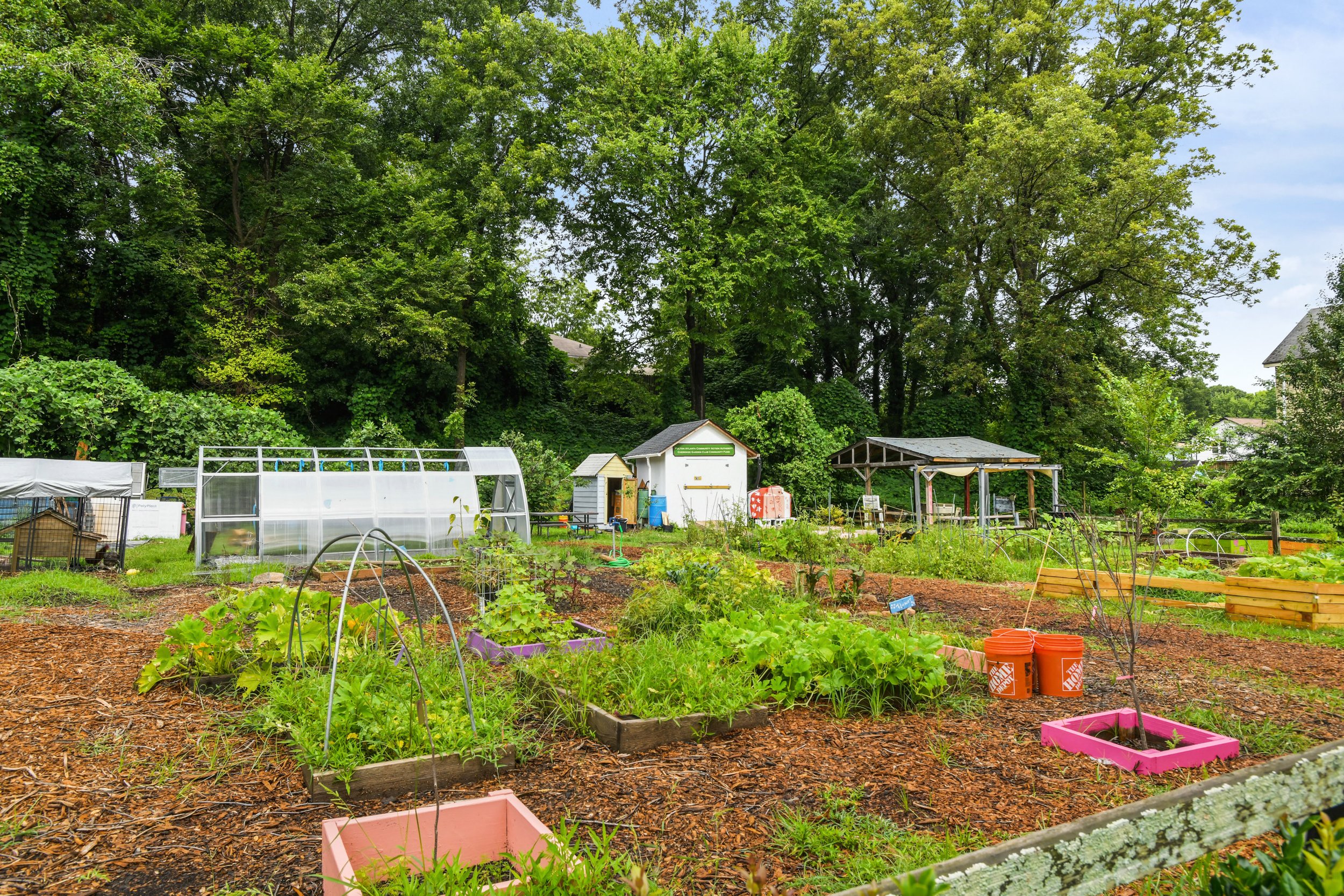 About 4 — The Guild