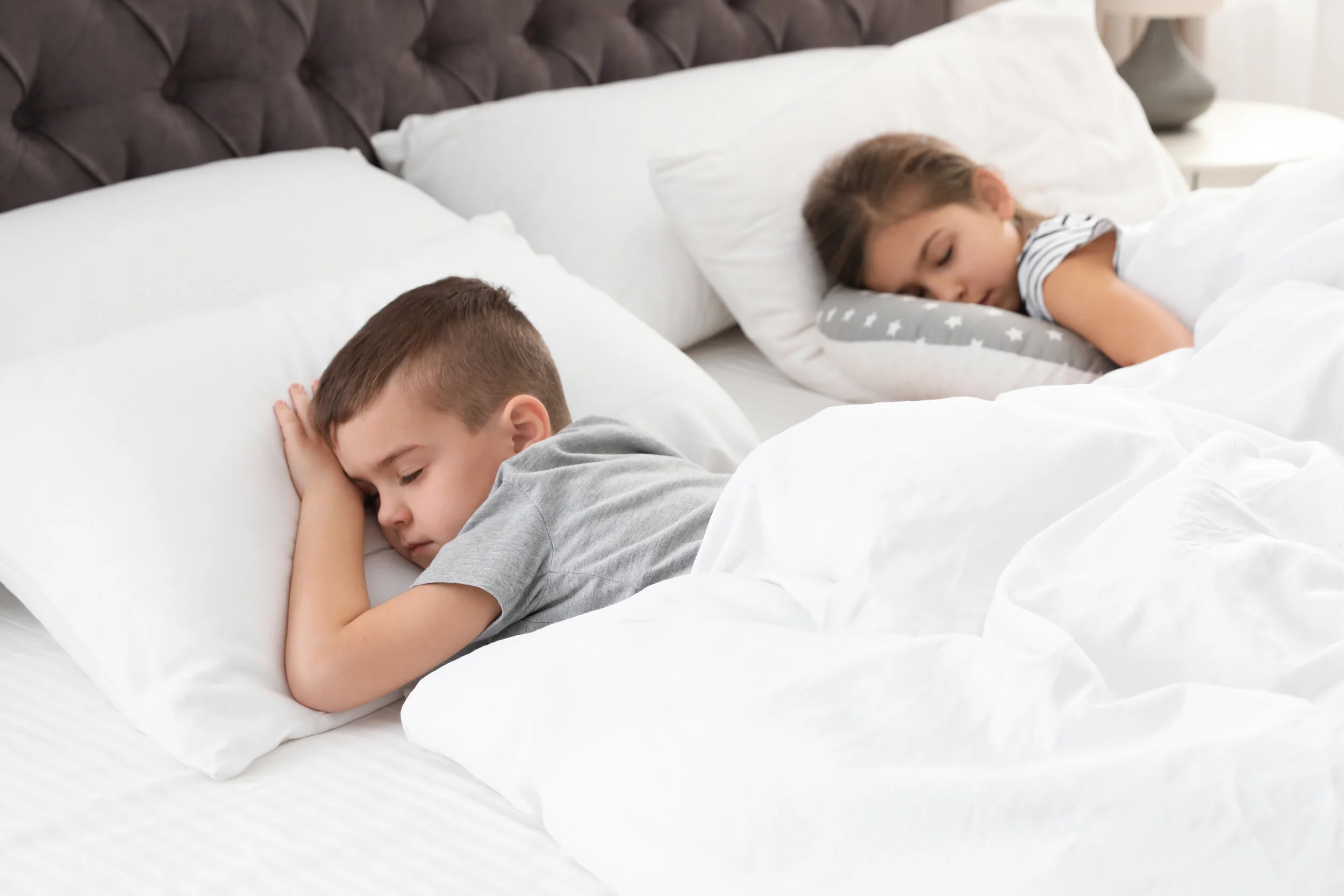 Luxury Bed Pillows | Duvets | Malpaca