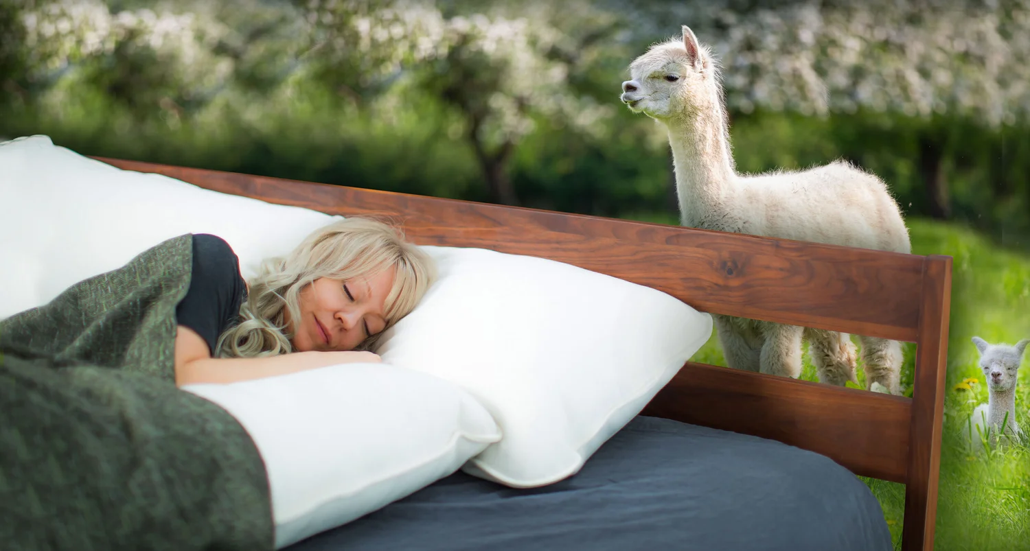Luxury Bed Pillows | Duvets | Malpaca