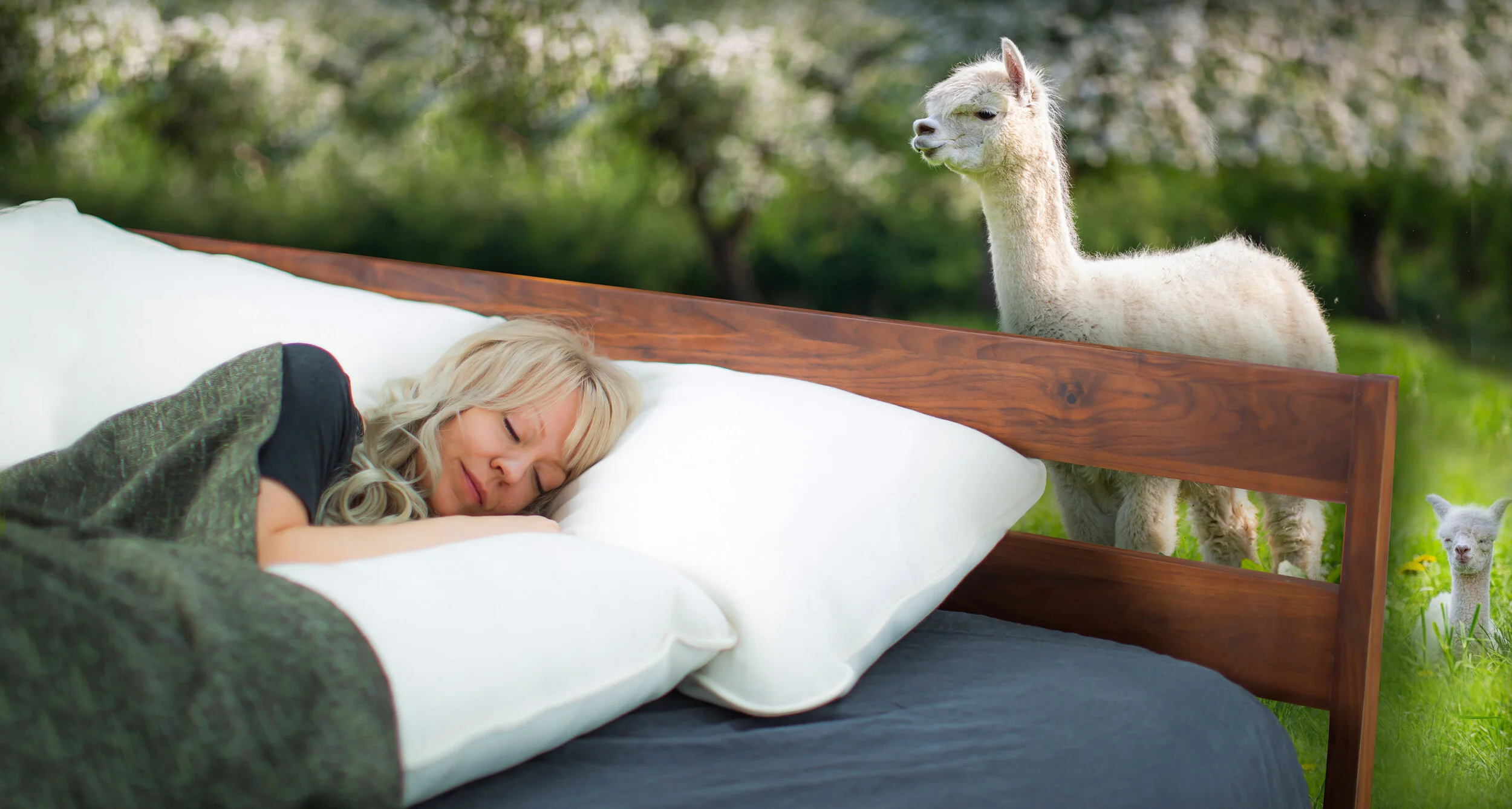 Luxury Bed Pillows | Duvets | Malpaca
