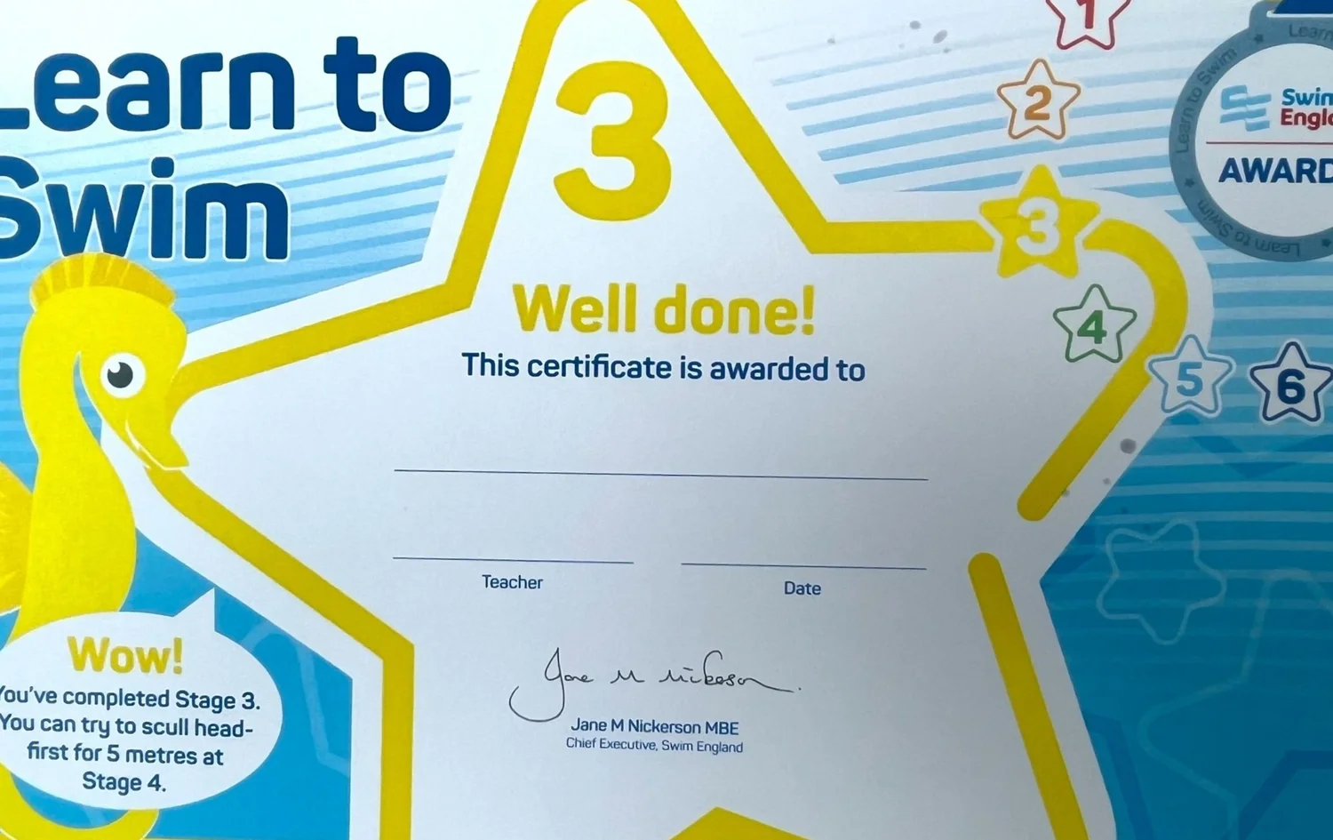 Swim England Learn To Swim Framework Stage 3 | GoggleSquad