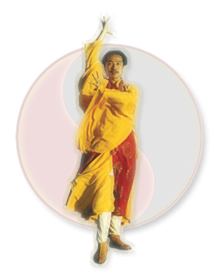 About Grandmaster Zhang — Grandmaster Yuanming Zhang