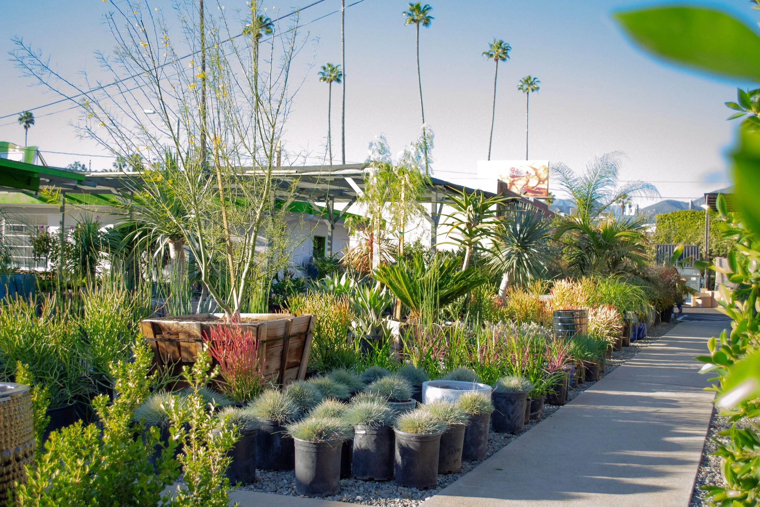 The Standard Design Group Nurseries