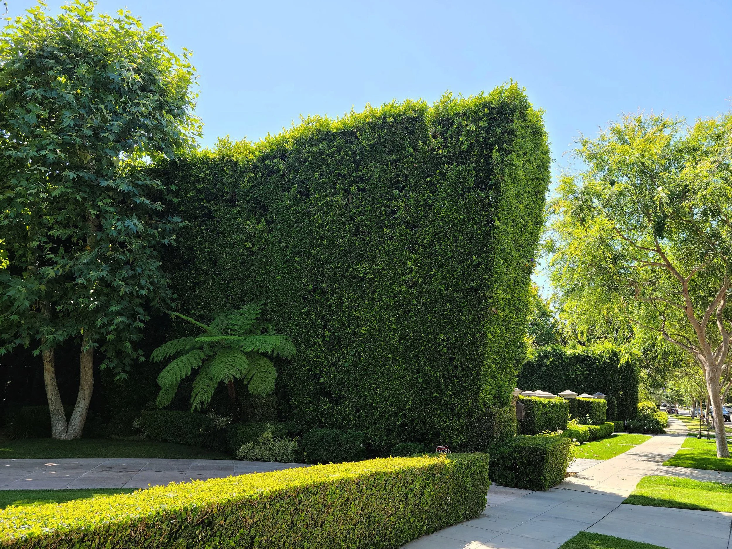 The Standard Design Group Nurseries