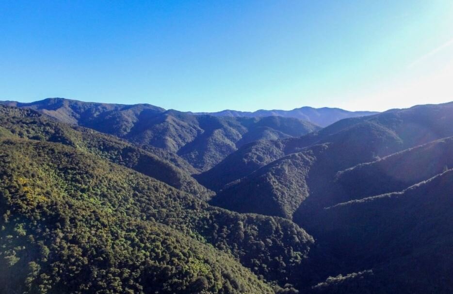 Native Forest Restoration Trust — Permanent forests NZ
