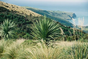 Hinewai Reserve — Permanent forests NZ