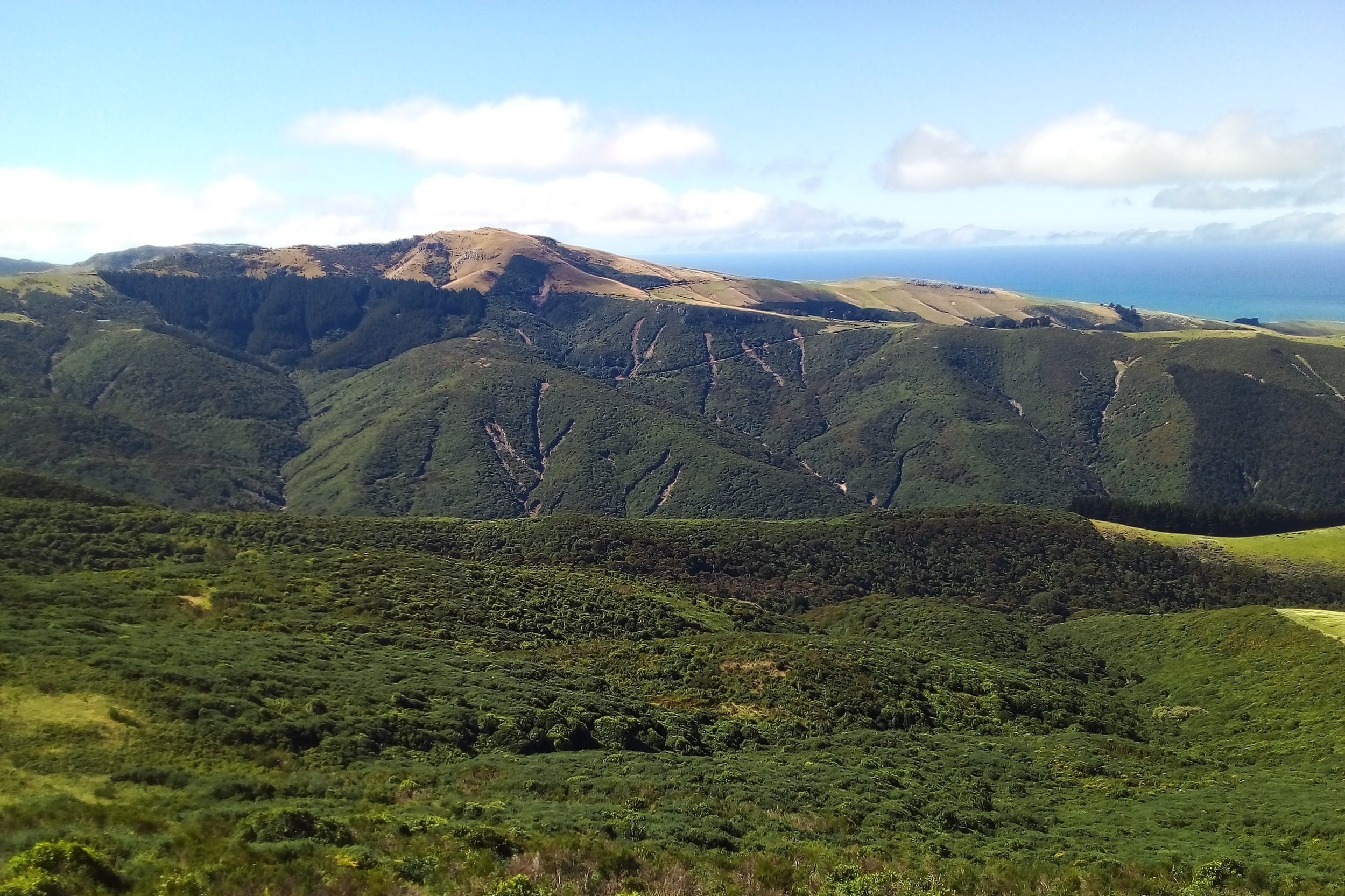 Hinewai Reserve — Permanent forests NZ