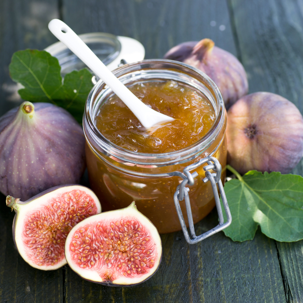 The Fig Tree Lesson - Mark 13:28 — Carol Adams