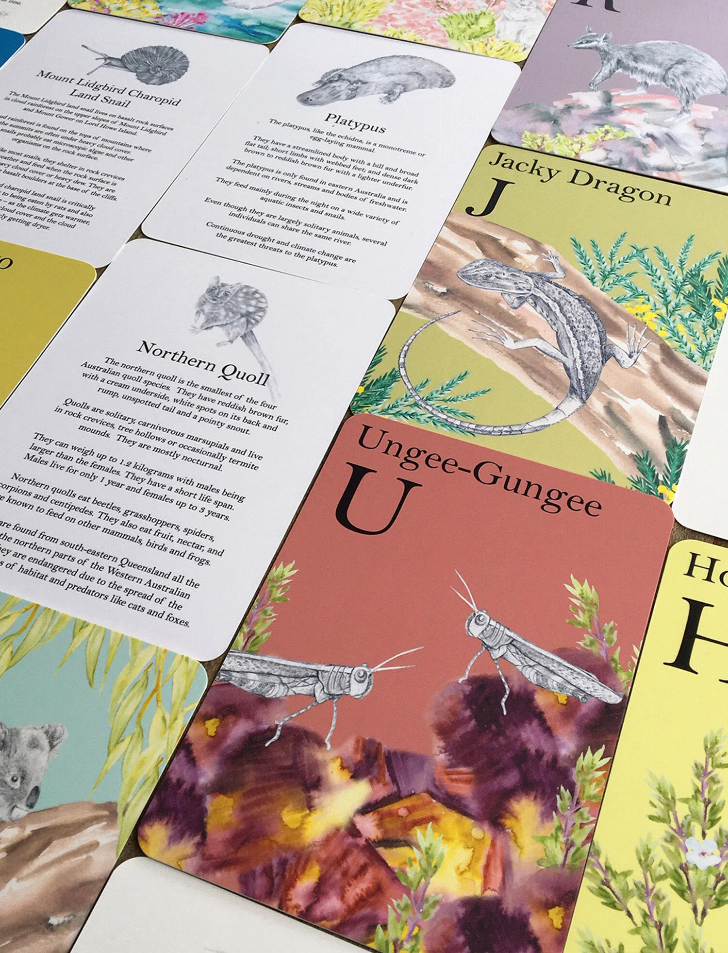 Australian Animal Alphabet Poster by Fabriculture — fabriculture