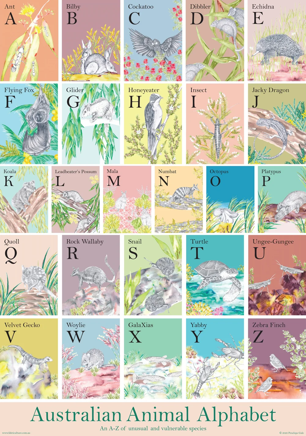 Australian Animal Alphabet Poster A2 – Educational Wildlife Art by ...
