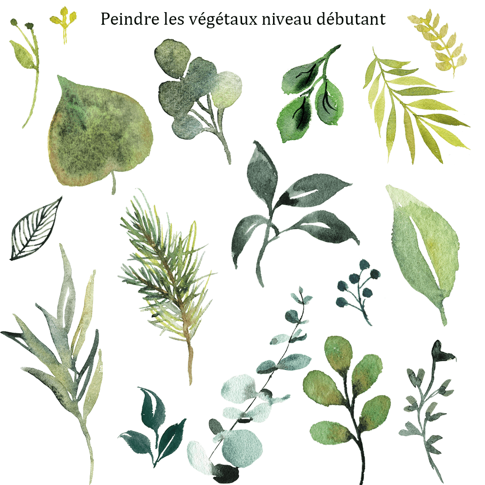 Cours de peinture à l'aquarelle Soustons prés de Dax, Hossegor, Bayonne ...