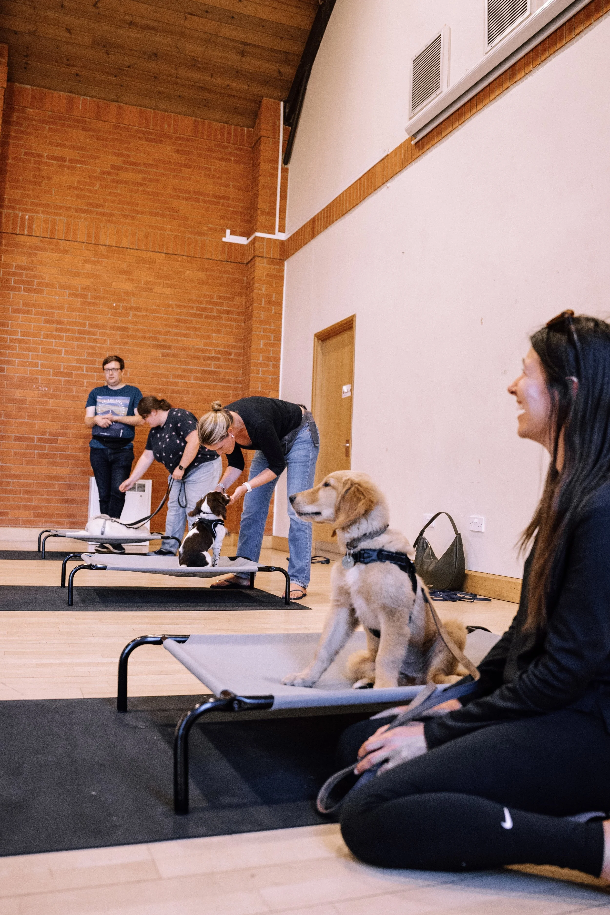 Puppy Training Bedford — Fetch Club | Dog Walking & Dog Training Bedford