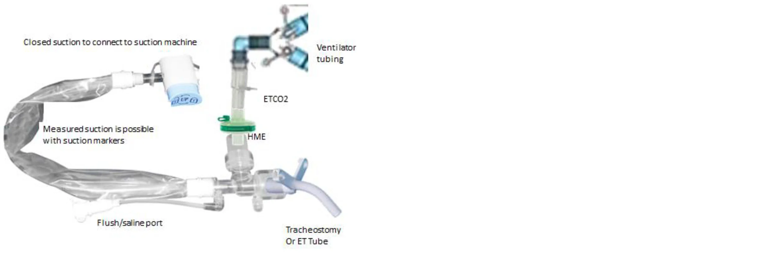 Paediatric tracheostomy and tracheostomy long-term ventilated care ...