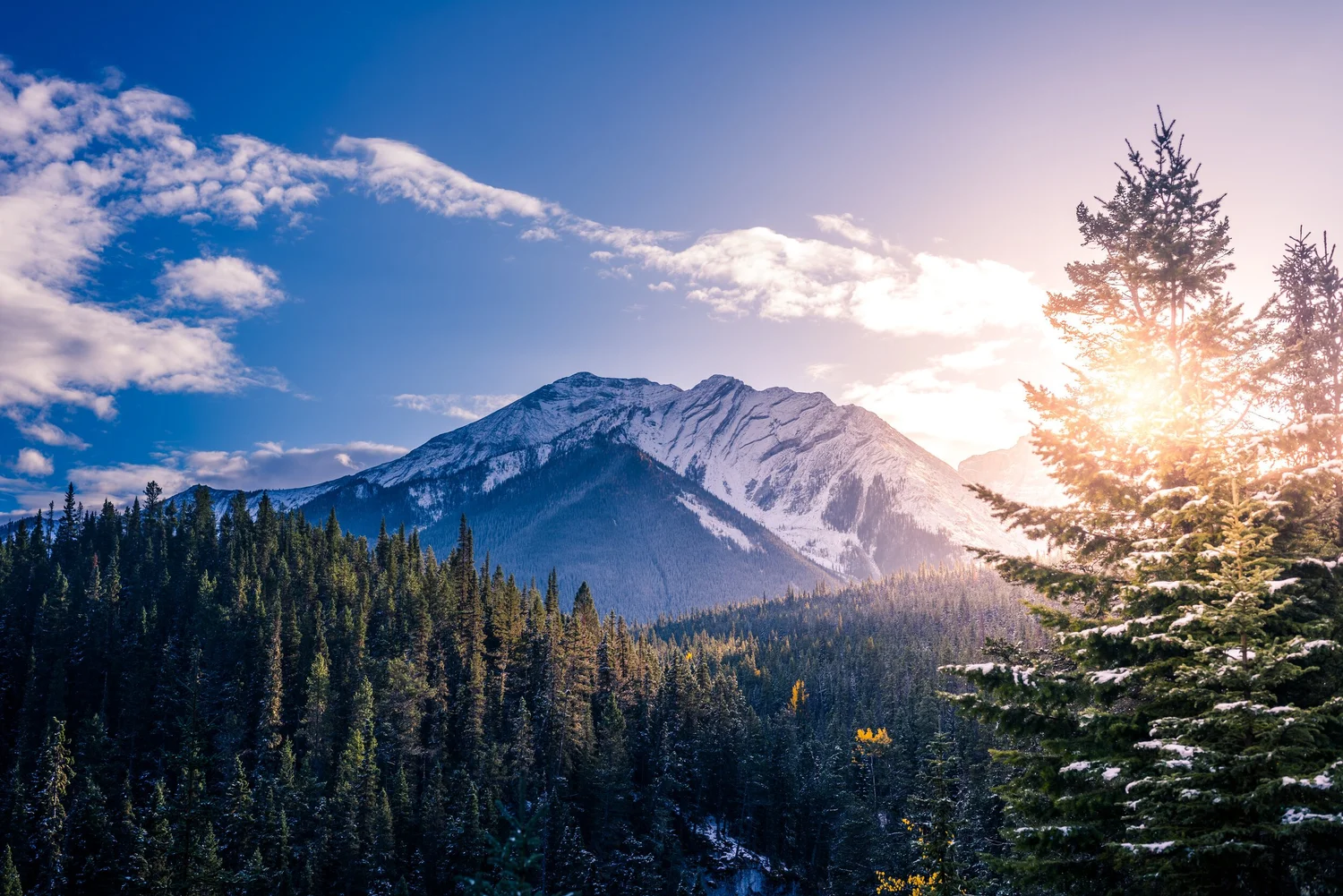 Canada CEPA Requirements — Yordas Group
