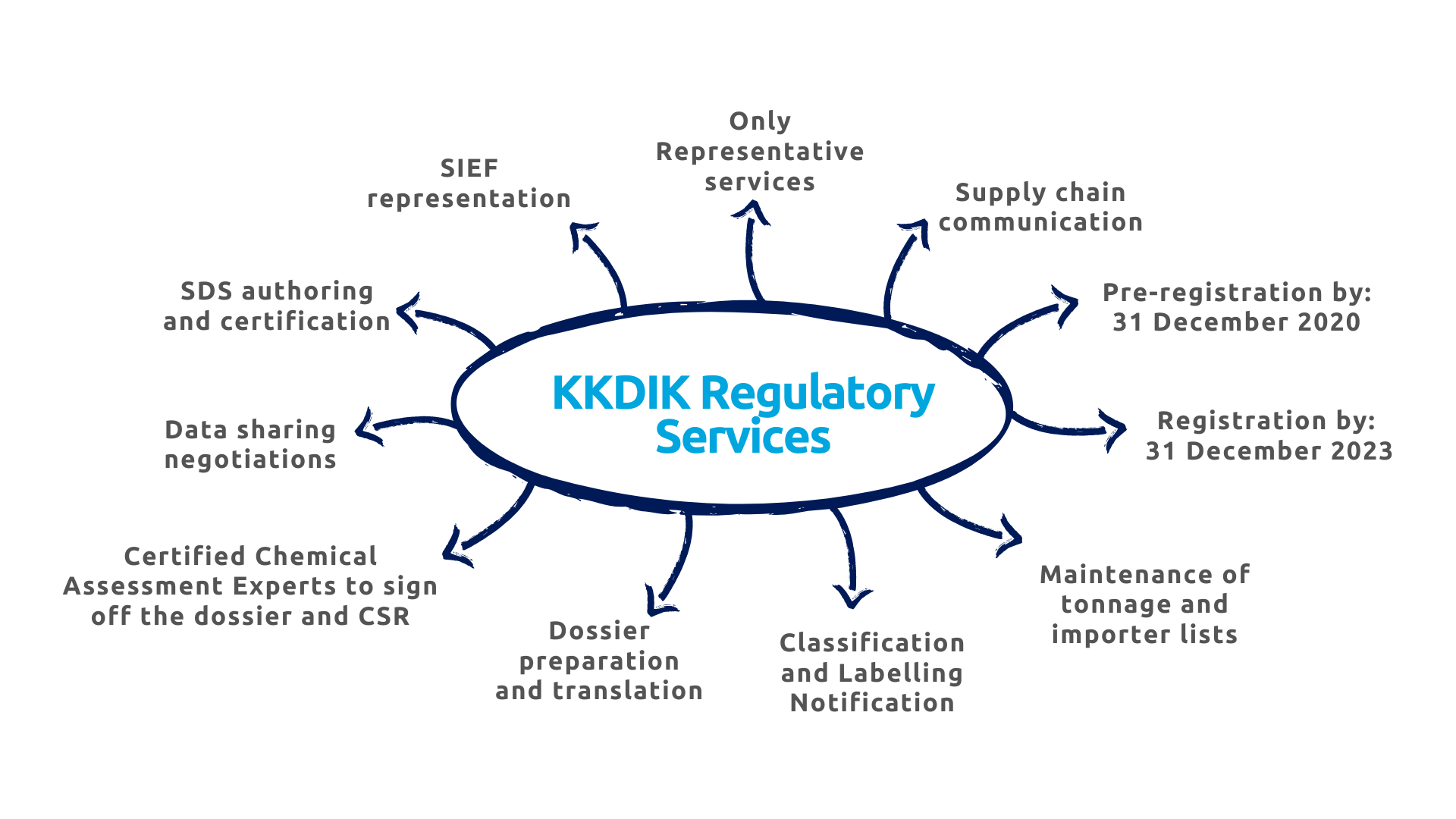 Turkish Chemicals Regulation Services — Yordas Group