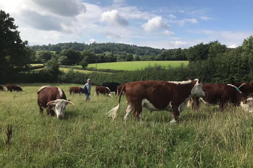 Romshed Farm