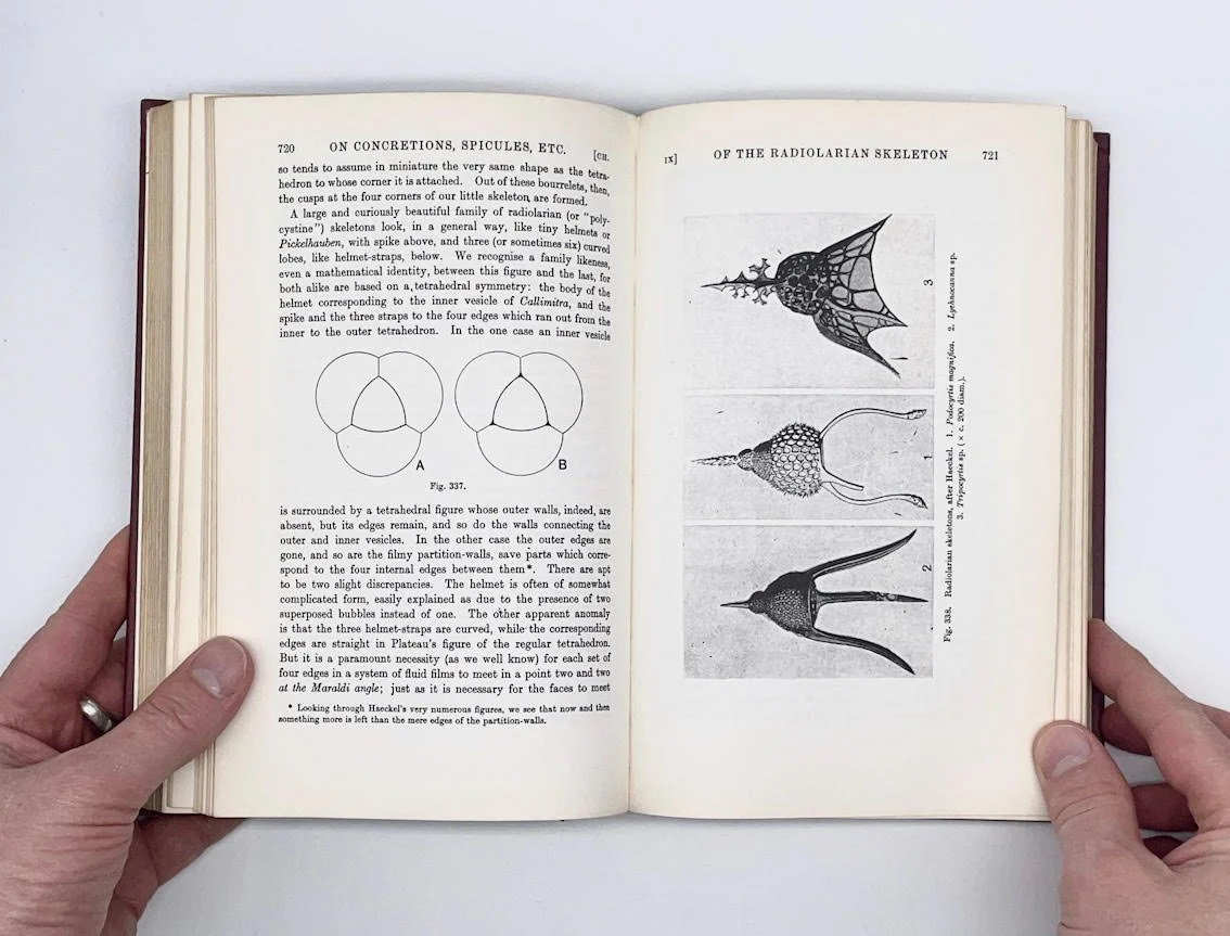 The way we live now. designs for Interiors 1950 to the Present Day ...