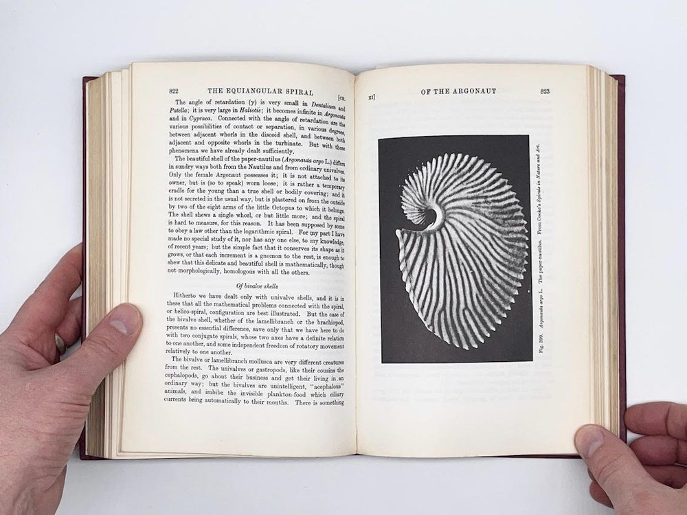 The way we live now. designs for Interiors 1950 to the Present Day ...