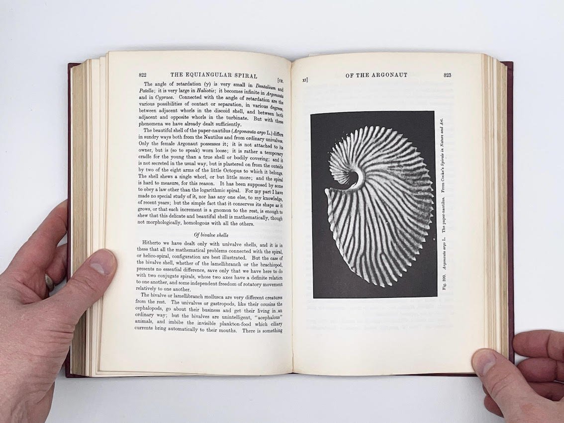 The way we live now. designs for Interiors 1950 to the Present Day ...