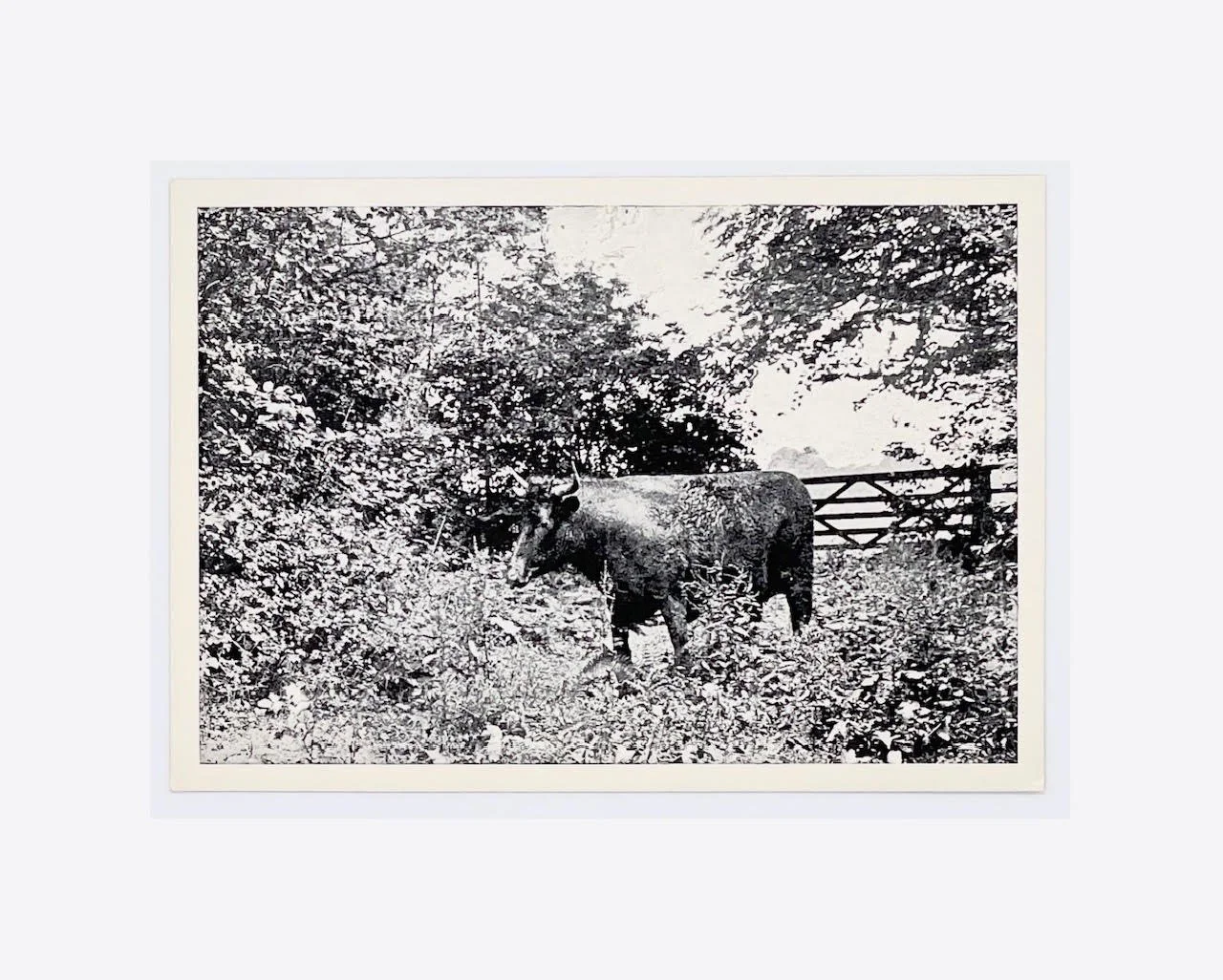 Room & Book: Art Books | London