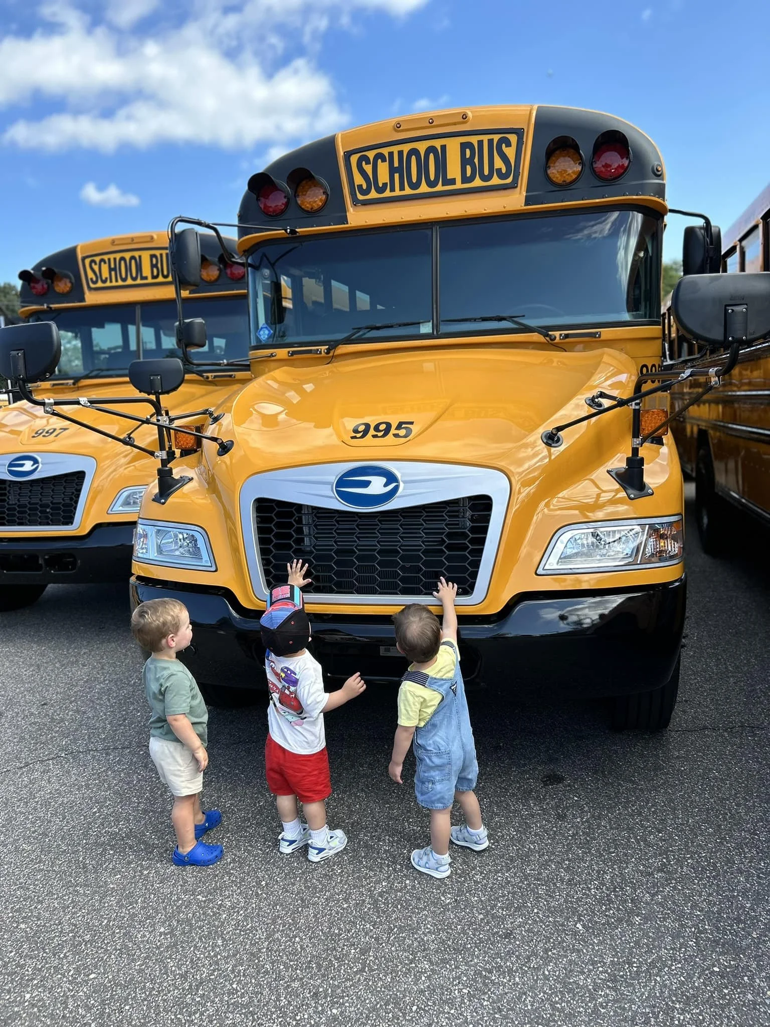 Blog — Bird Bus Sales