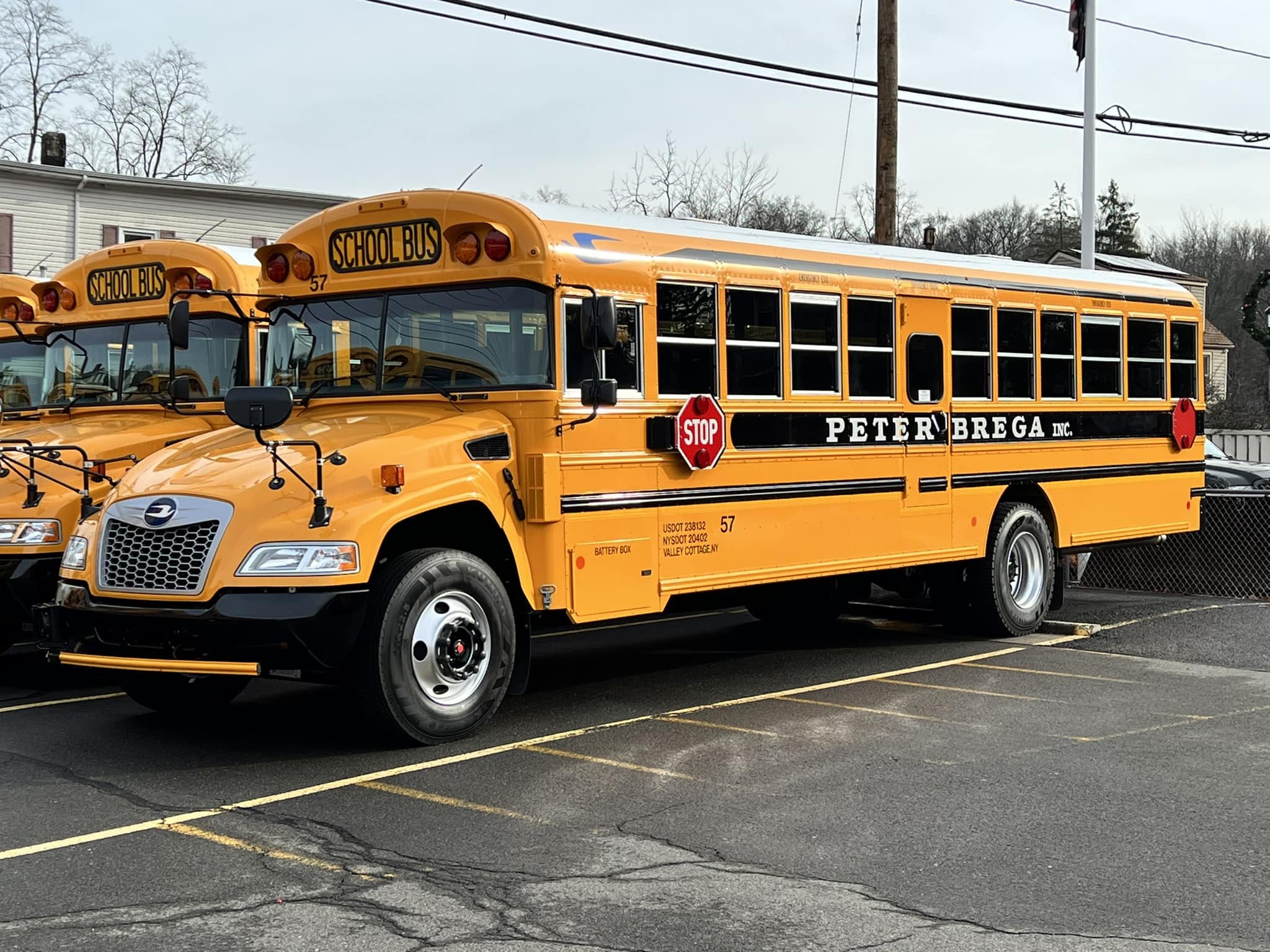 Peter Brega Inc. School Buses — Bird Bus Sales