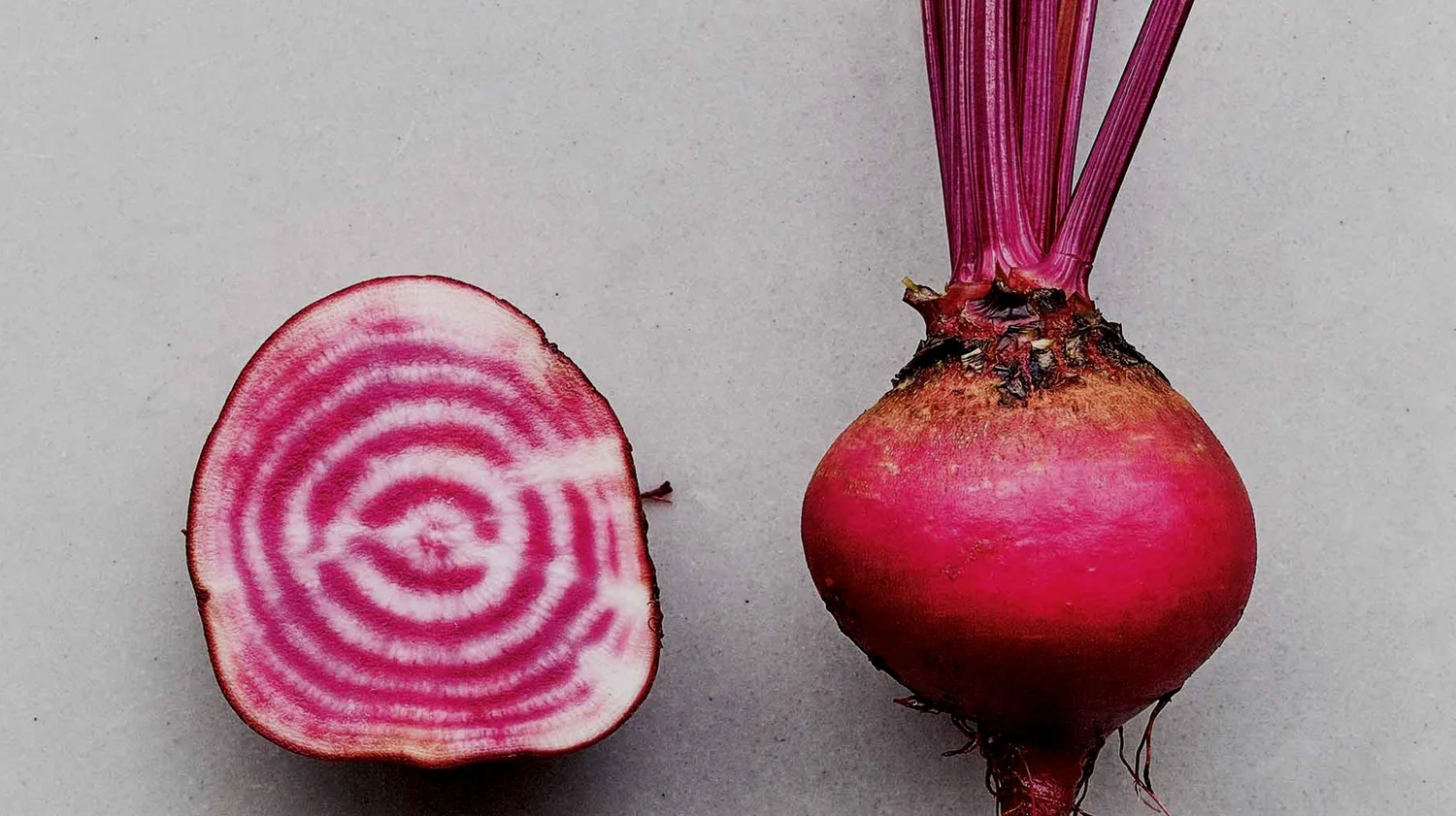 CULINA BOTANICA - příroda, zdraví, vaření