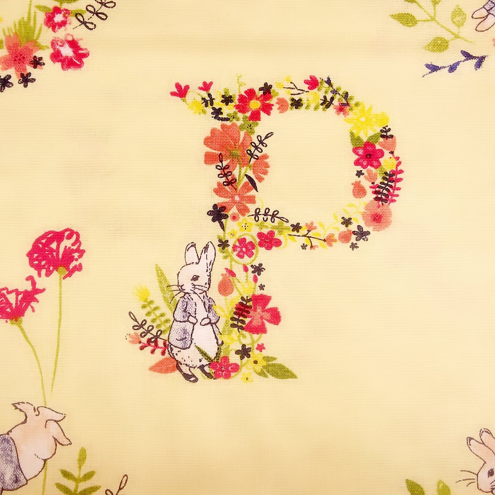 Peter Rabbit White Cotton Fabrics-Per 50cm PR19 Crafty Baba Fabrics