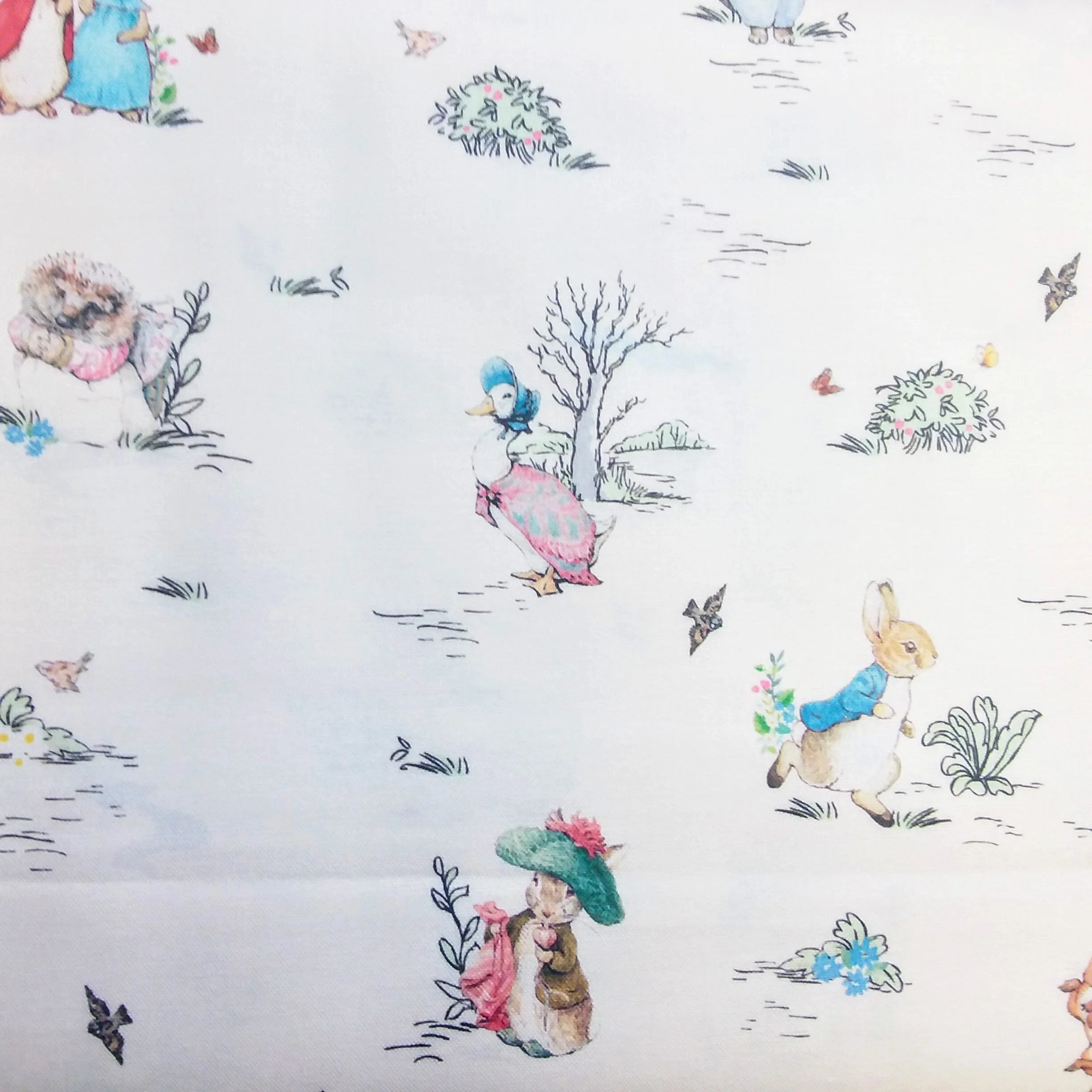 Peter Rabbit White Cotton Fabrics-Per 50cm PR19 Crafty Baba Fabrics