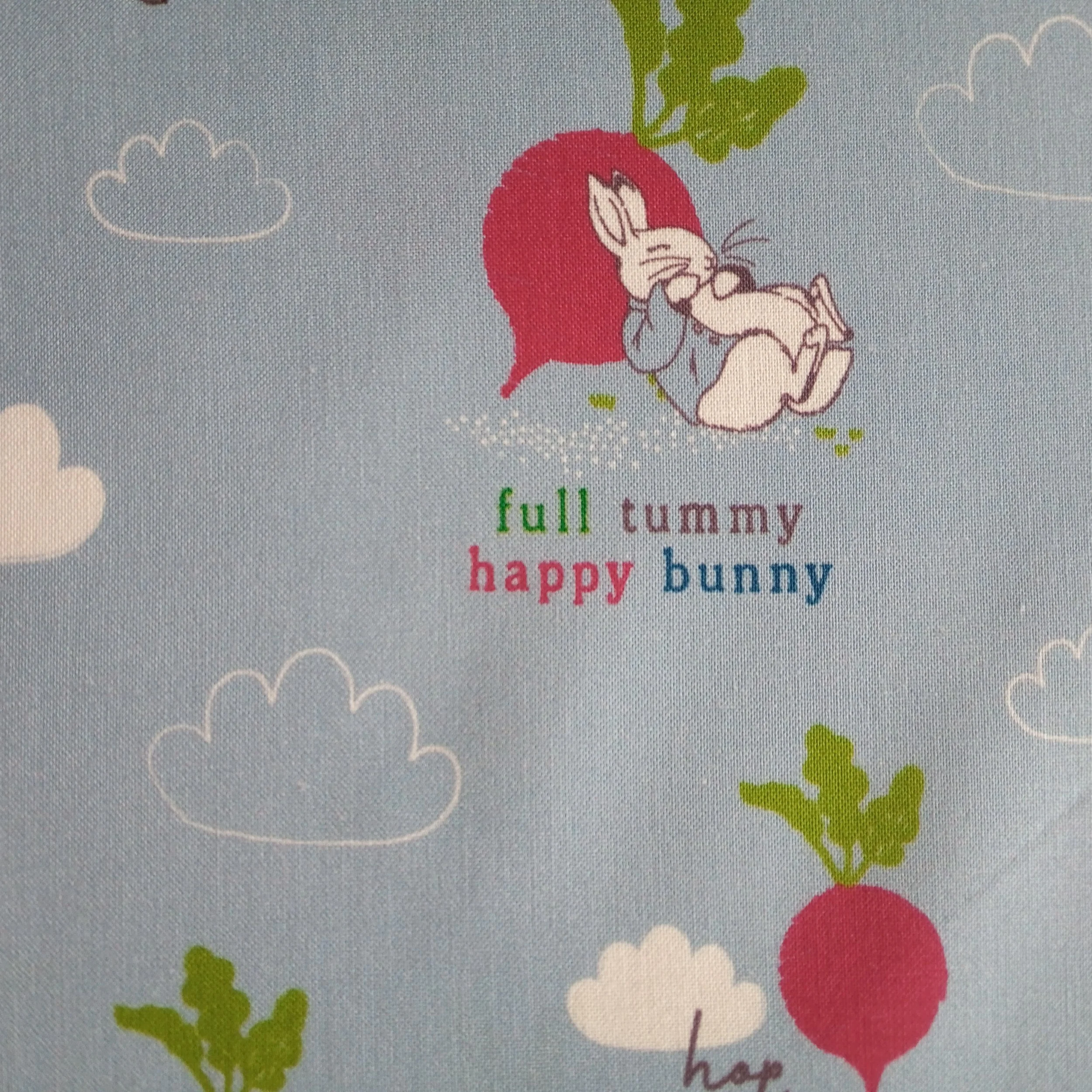 Peter Rabbit Cotton Fabric Garden Path Crafty Baba Fabrics