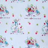 Peter Rabbit Cotton Fabric Garden Path Crafty Baba Fabrics