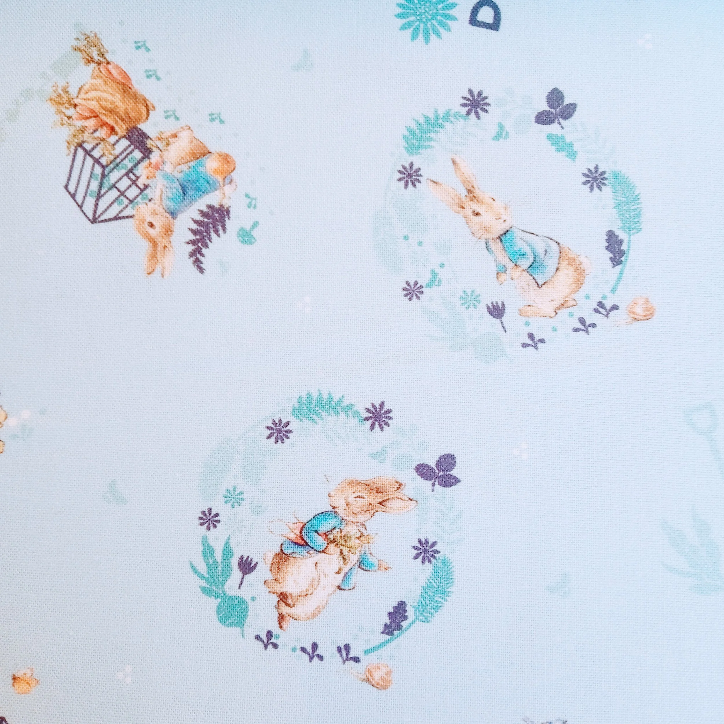 Peter Rabbit Cotton Fabric Garden Path Crafty Baba Fabrics